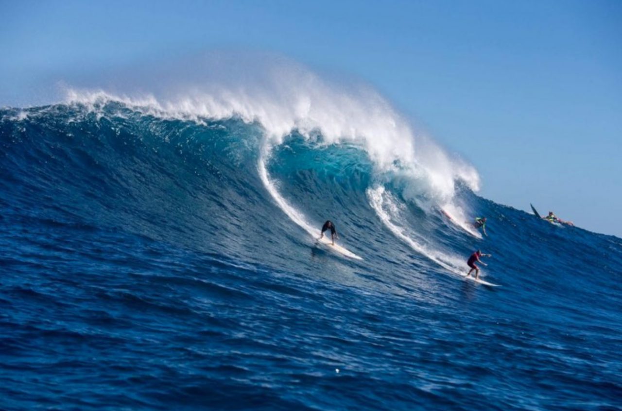 Chapina Polly Ralda y mexicana Isabelle Leonhardt en la lista invitados ...